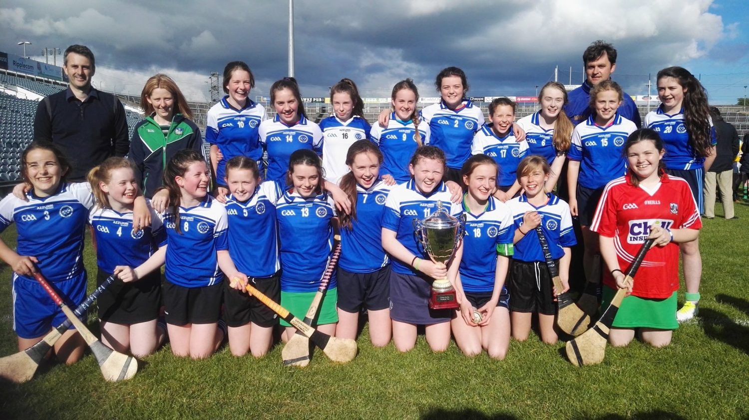 Neville Cup for South Limerick