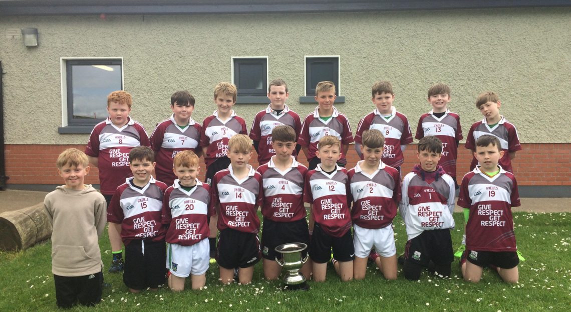 South Title for Boys Hurling Team – Herbertstown National School