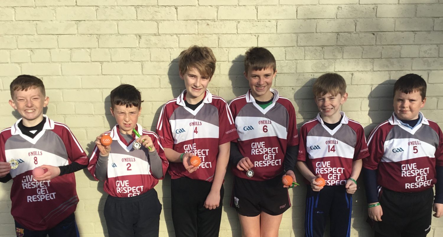Herbertstown NS pupils take part in South Handball Blitz