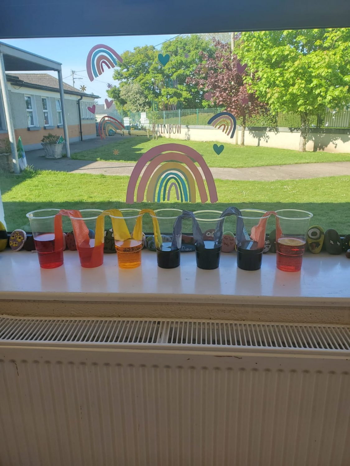 Rainbow Walking Experiment