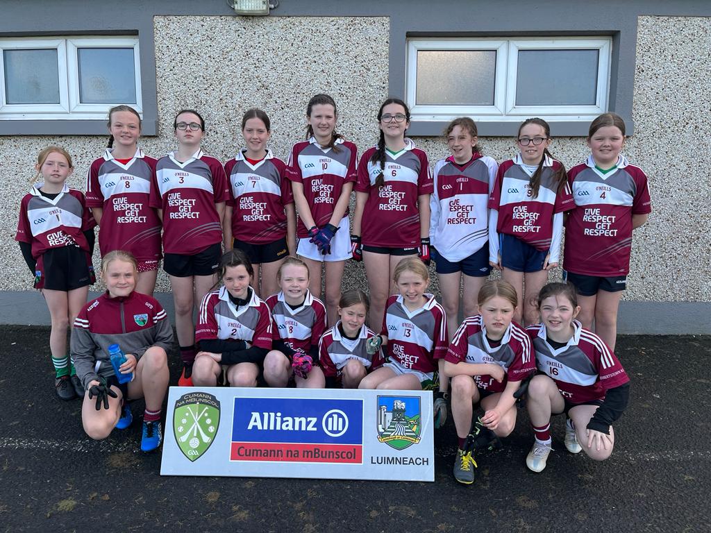 Terrific Footballers Just Miss Out on County Final