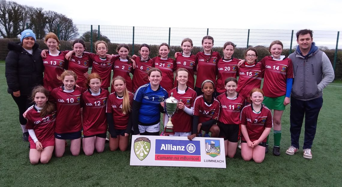 Neville Cup Success – Herbertstown National School