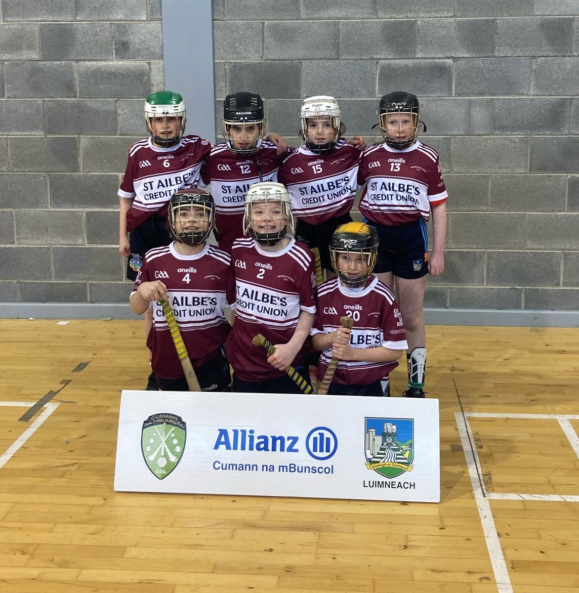 Indoor Hurling /Camogie – Herbertstown National School